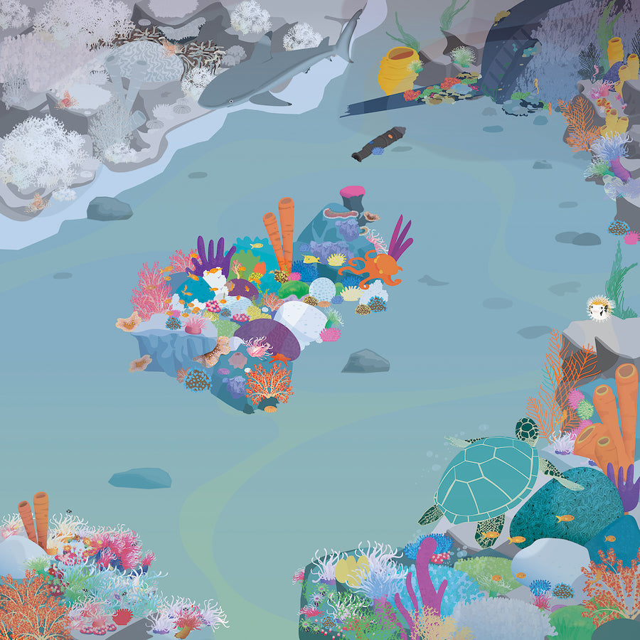 Coral Reef Mat for Rugged Robot – Edtechs