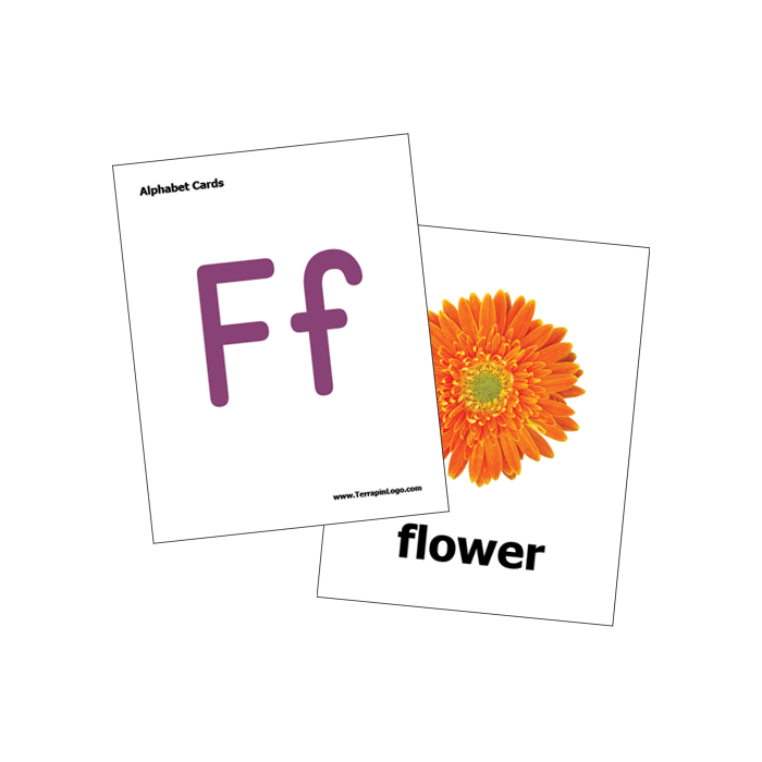 Alphabet Cards for Bee-Bot Transparent Pocket Mats – Edtechs